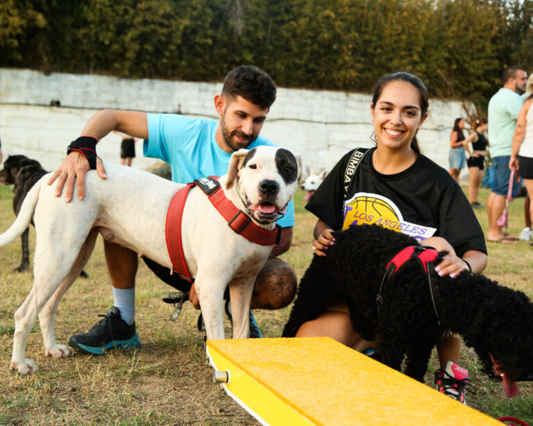 Dog Parties - Seu amb mi